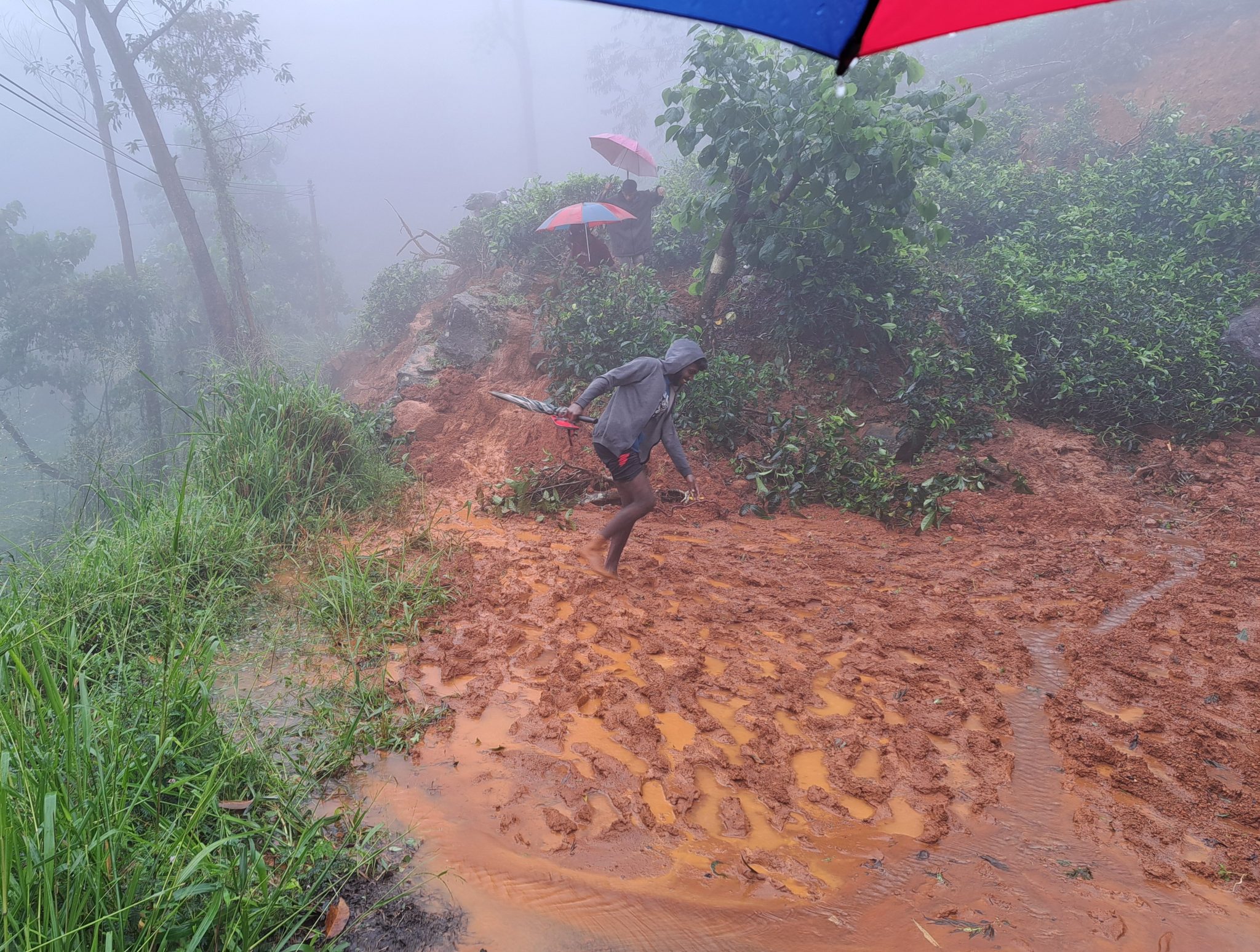 A DIARY OF THE FIRST 5 DAYS AT RANGALA HOUSE - Rangala House